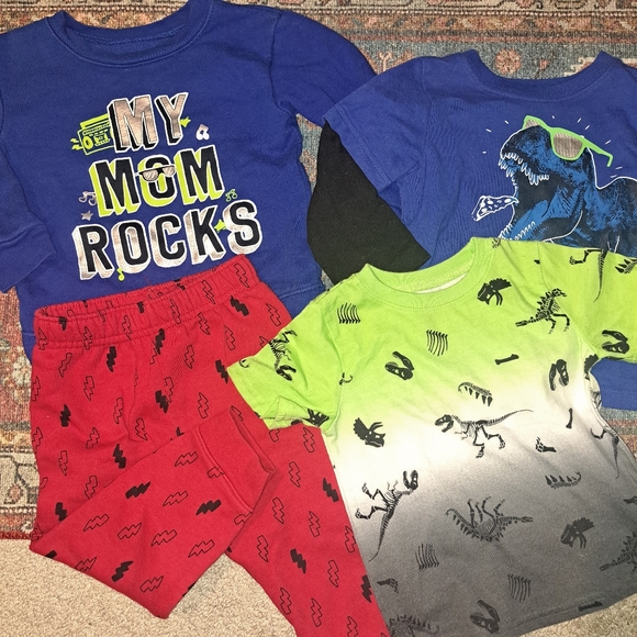 Garanimals | Matching Sets | Boys Lot Of 7 Garanimals 24 Months 2t Dino ...